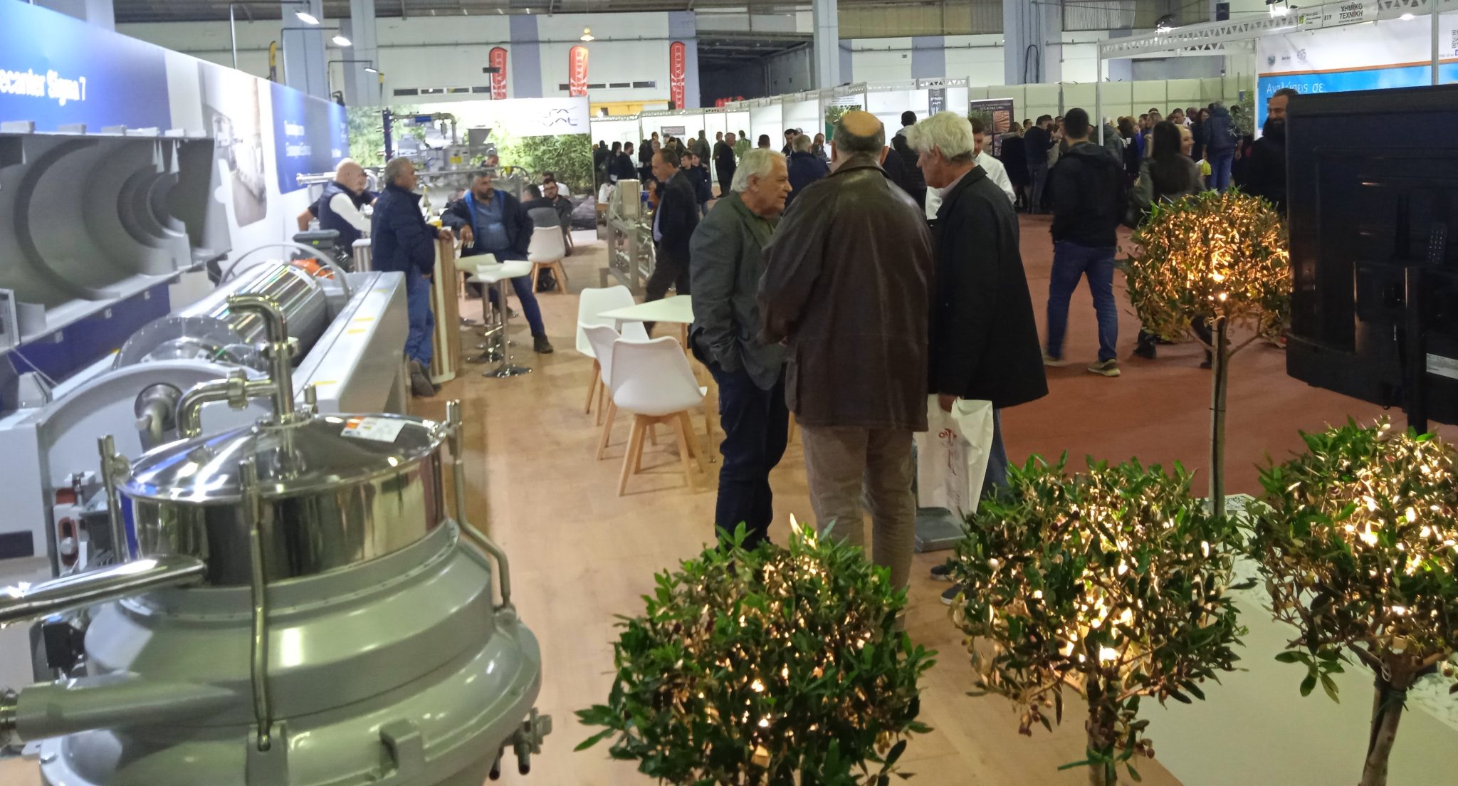Il 10° Festival dell'Olio d'Oliva e delle Olive 2025, a Kalamata ...